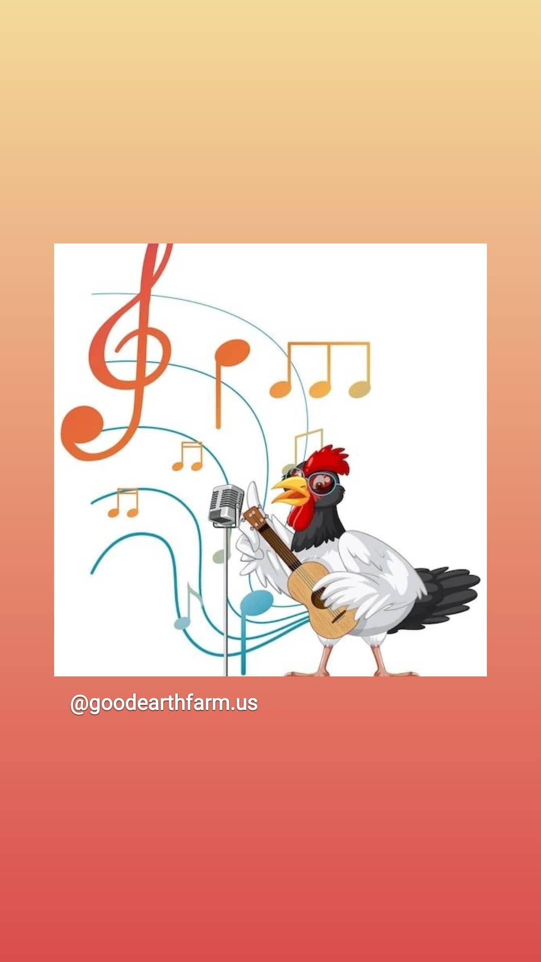 Chicken Pickin – Open Mic, Community Music Fun! – Visit Palatka