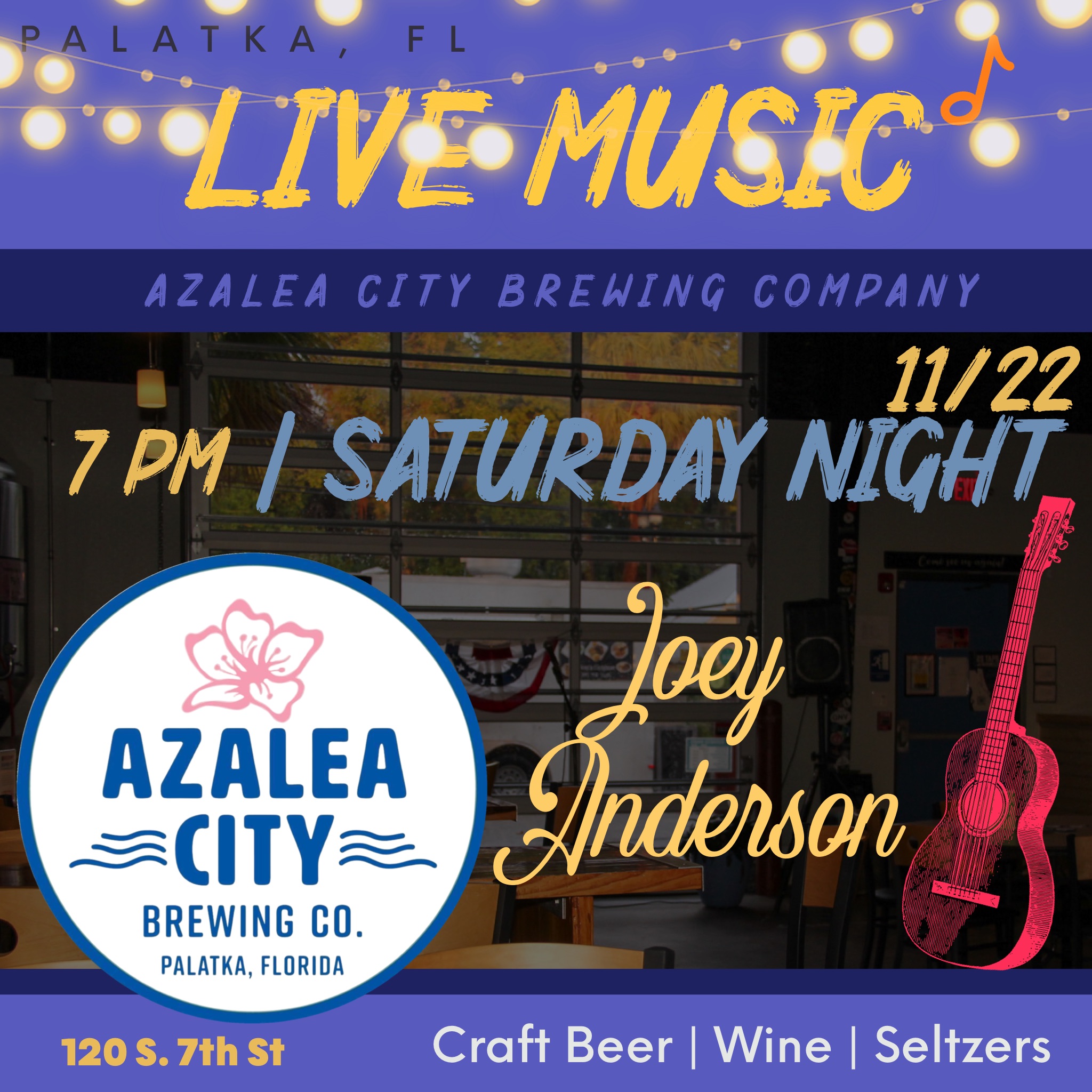 Live Music with Joey Anderson – Visit Palatka